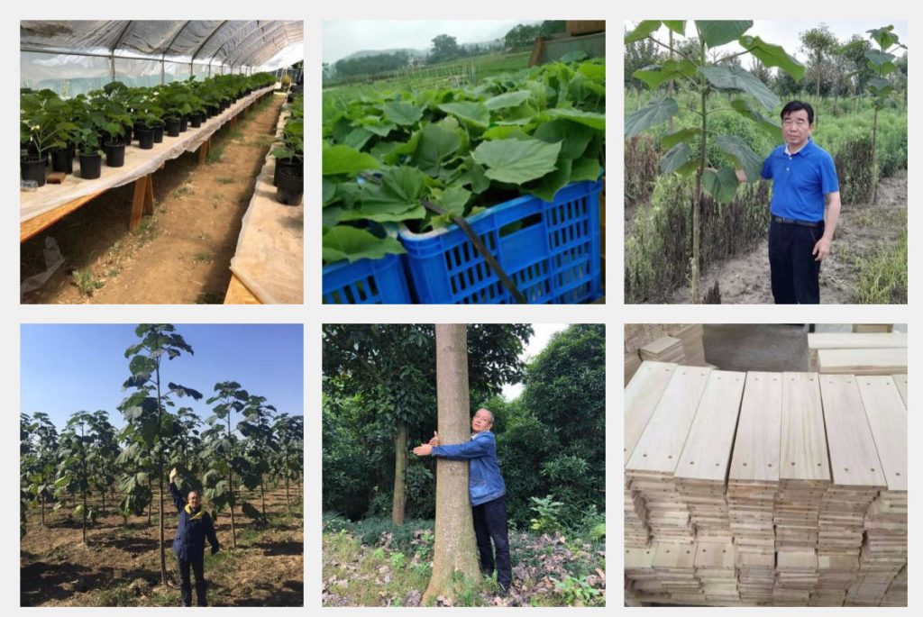 Environmenal Reforestation Projects | God's Water Blog