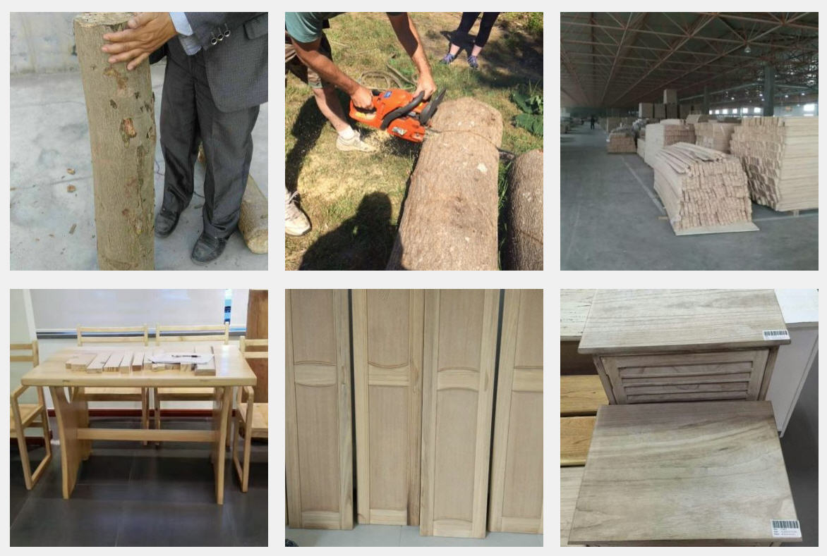 Environmenal Reforestation Projects | God's Water Blog