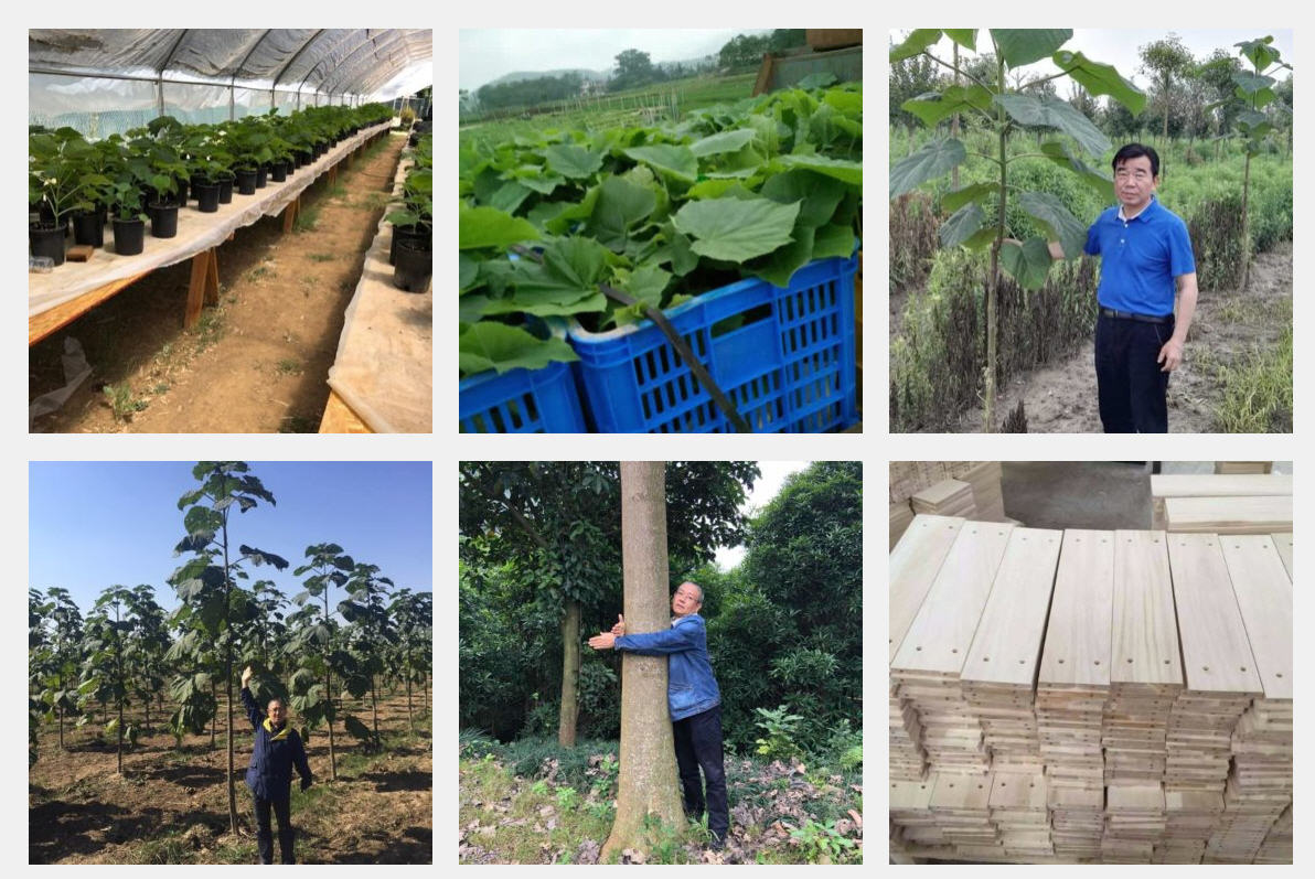 Environmenal Reforestation Projects | God's Water Blog