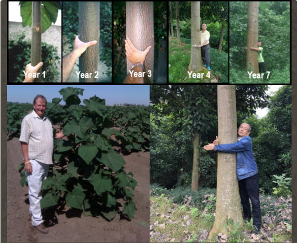 Environmenal Reforestation Projects | God's Water Blog